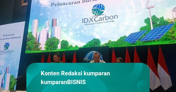 Volume Transaksi Bursa Karbon Tembus Rp 36,8 Miliar Sejak Diluncurkan di 2023 | kumparan.com